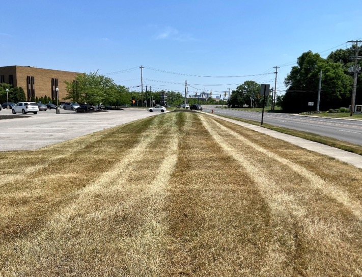 Know Before You Grow: Turf: Drought stress is underway in Ohio | News ...